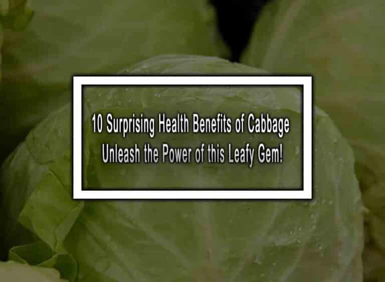 10 Surprising Health Benefits Of Cabbage Unleash The Power Of This Leafy Gem 